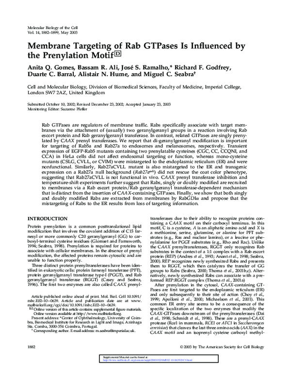 (PDF) Membrane targeting of Rab GTPases is influenced by the ...