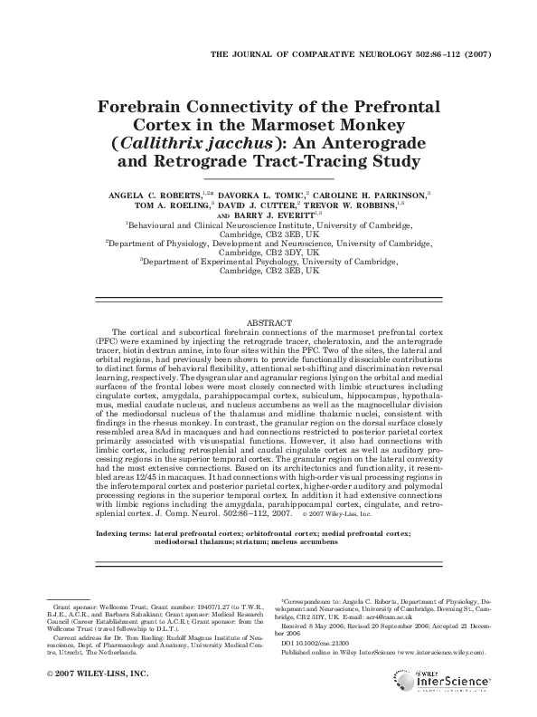 (PDF) Forebrain connectivity of the prefrontal cortex in the marmoset ...