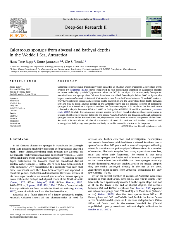 (PDF) Calcareous sponges from abyssal and bathyal depths in the Weddell ...