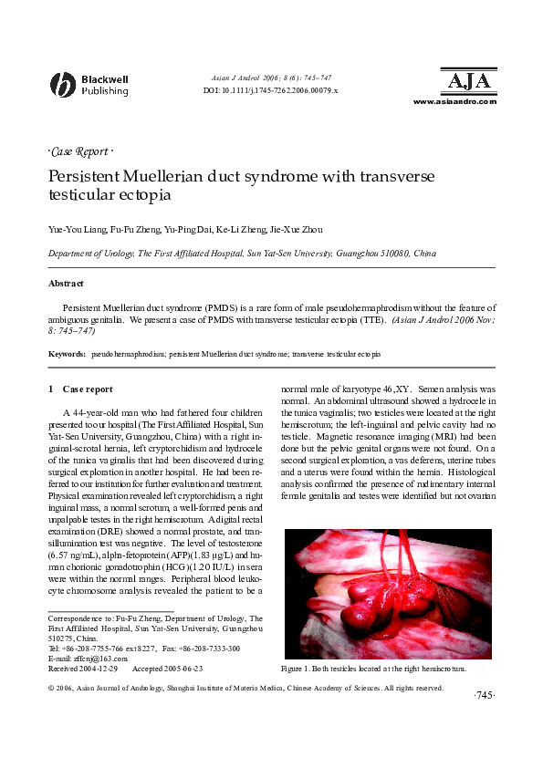 (PDF) Persistent Mullerian Duct Syndrome in a Miniature Schnauzer Dog ...