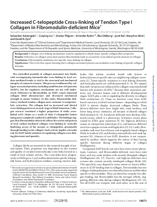 (PDF) Increased c-telopeptide cross-linking of tendon type i collagen ...