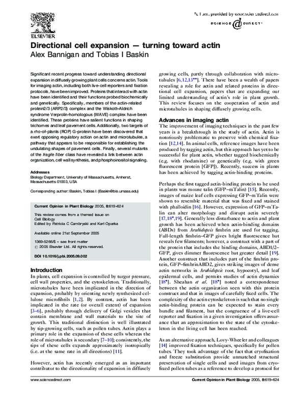 (PDF) Directional cell expansion — turning toward actin