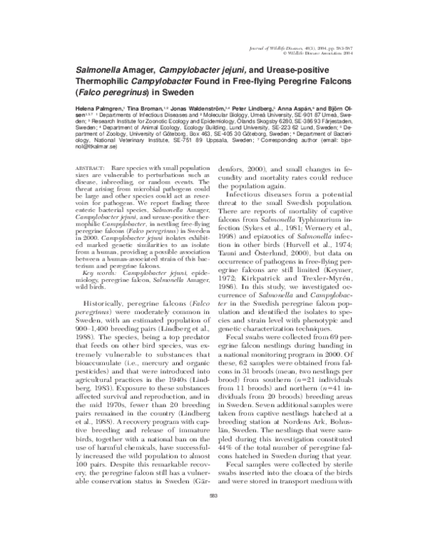 (PDF) Salmonella Amager, Campylobacter jejuni, and Urease-positive ...