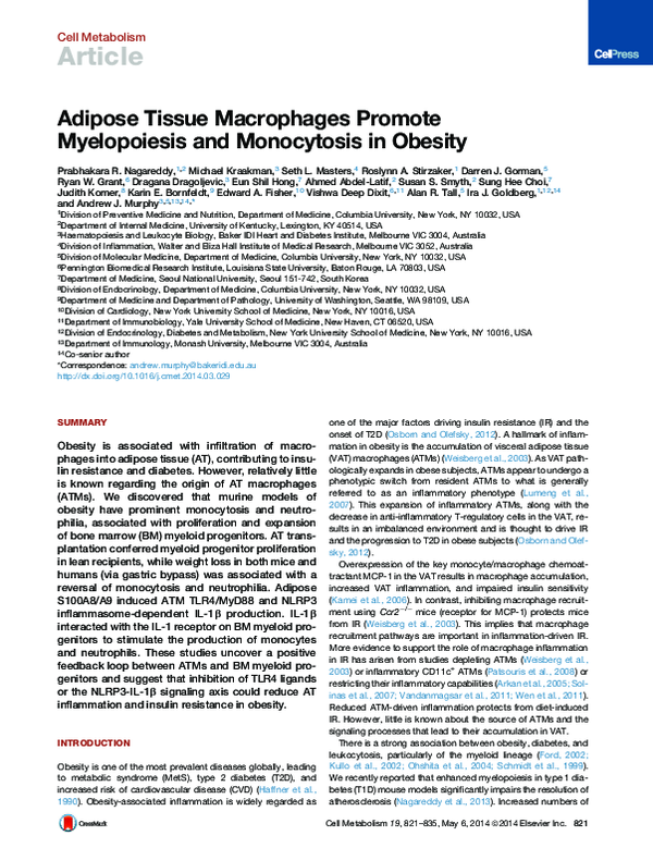 (PDF) Adipose tissue macrophages promote myelopoiesis and monocytosis in obesity