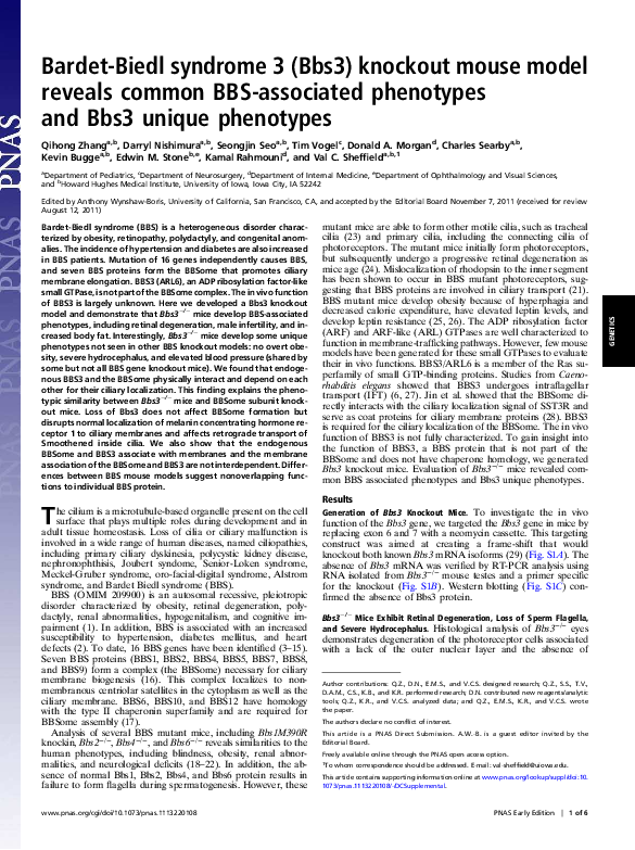 (PDF) Bardet-Biedl syndrome 3 (Bbs3) knockout mouse model reveals ...