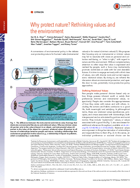 (PDF) Why protect nature? Rethinking values and the environment