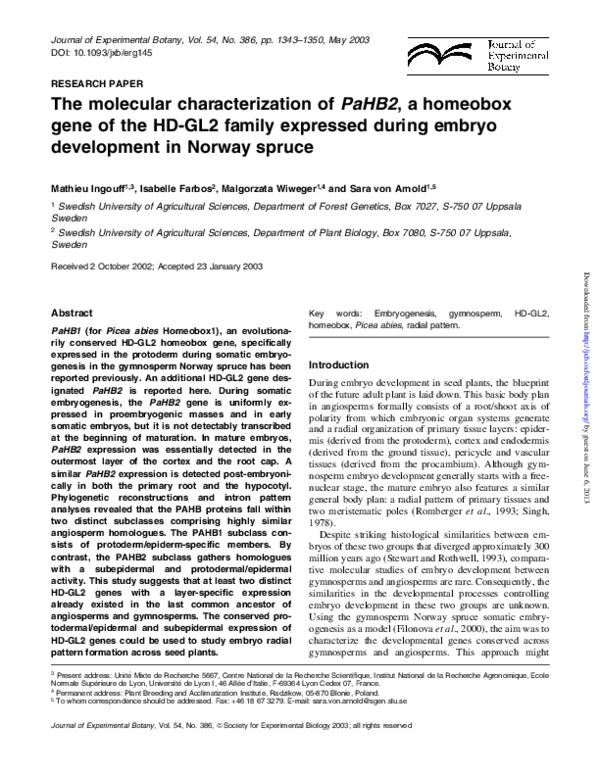 (PDF) The molecular characterization of PaHB2, a homeobox gene of the ...