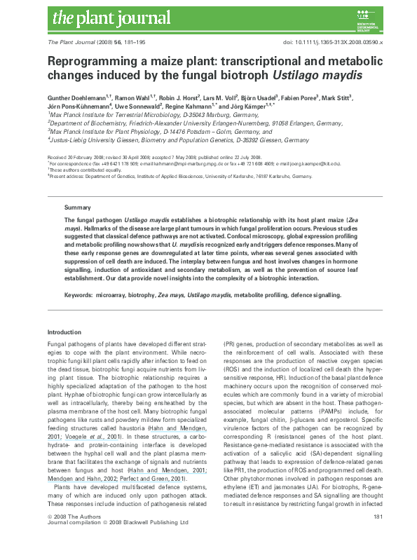 (PDF) Reprogramming a maize plant: transcriptional and metabolic ...