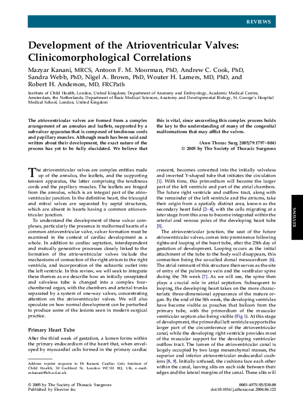 (PDF) Development of the Atrioventricular Valves: Clinicomorphological ...