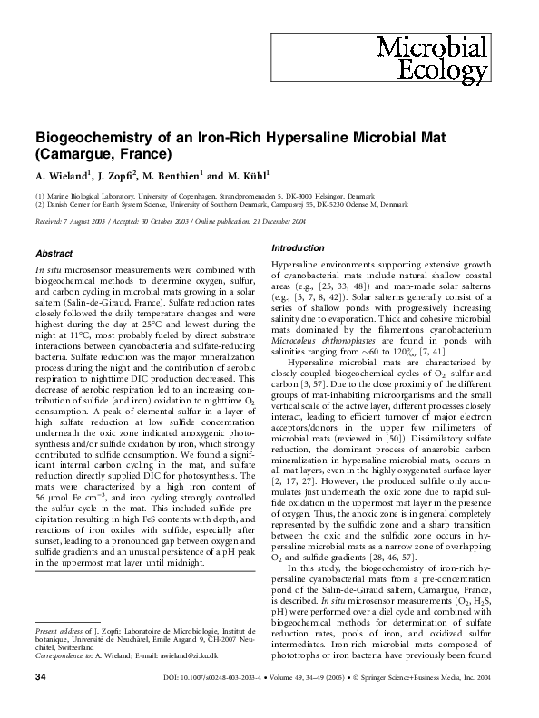 (PDF) Biogeochemistry of an Iron-Rich Hypersaline Microbial Mat (Camargue, France)