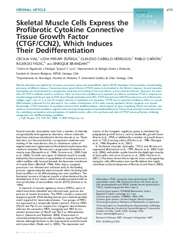 (PDF) Skeletal muscle cells express the profibrotic cytokine connective tissue growth factor ...