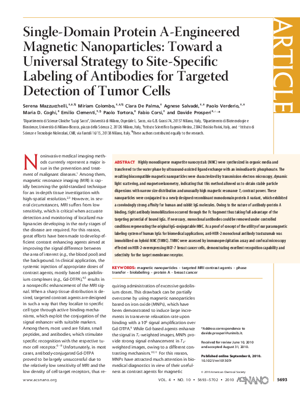(PDF) Single-Domain Protein A-Engineered Magnetic Nanoparticles: Toward ...