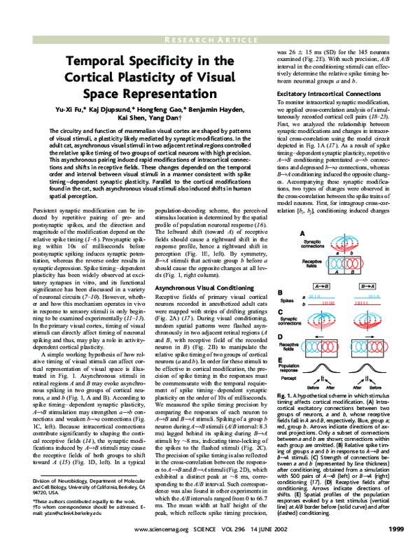 (PDF) Temporal Specificity in the Cortical Plasticity of Visual Space ...