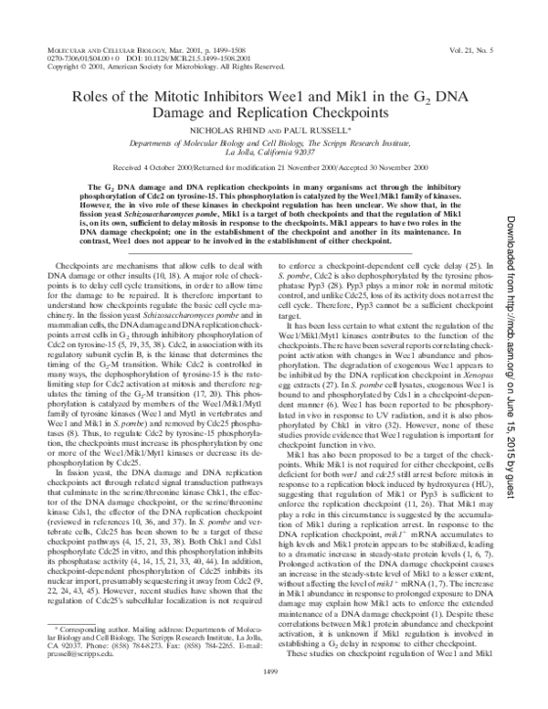 (PDF) Roles of the mitotic inhibitors Wee1 and Mik1 in the G(2) DNA ...