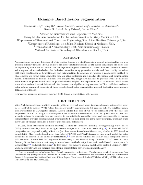 (PDF) Example based lesion segmentation