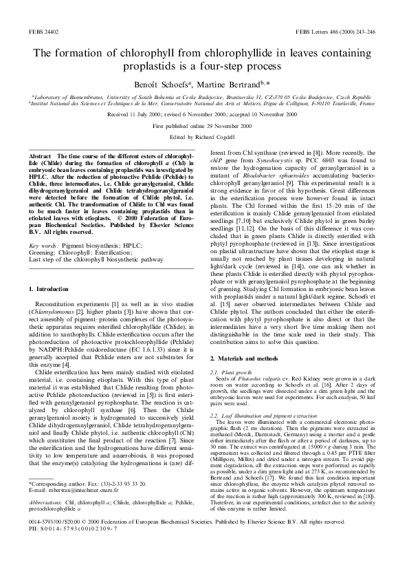(PDF) The formation of chlorophyll from chlorophyllide in leaves ...