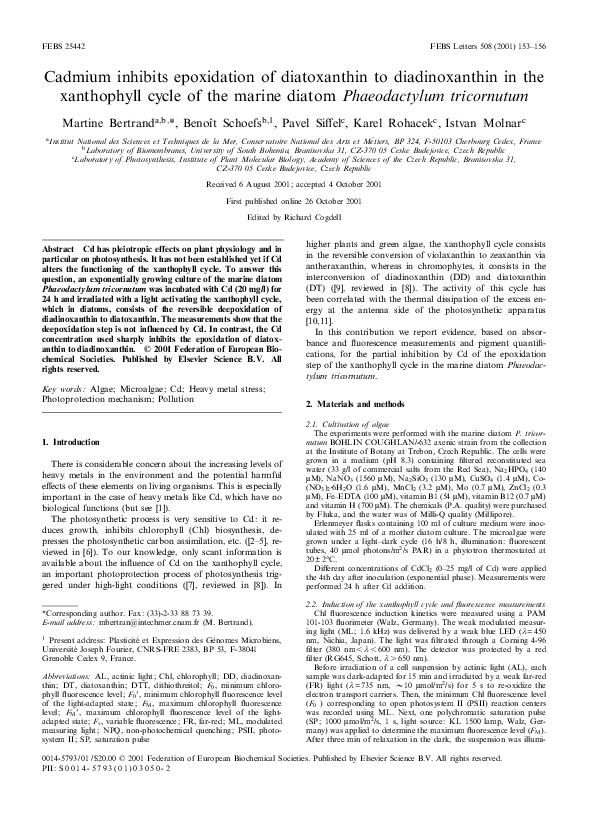 (PDF) Cadmium inhibits epoxidation of diatoxanthin to diadinoxanthin in ...