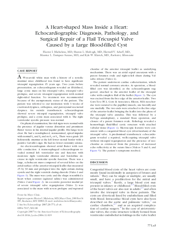(PDF) A Heart-shaped Mass Inside a Heart: Echocardiographic Diagnosis ...