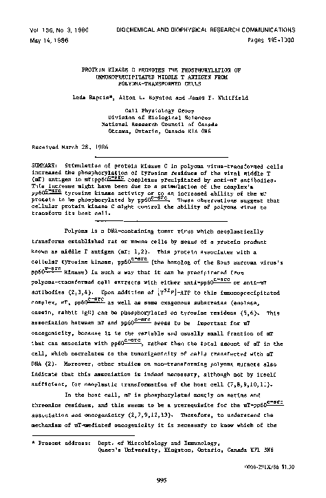 (PDF) Protein kinase C promotes the phosphorylation of ...