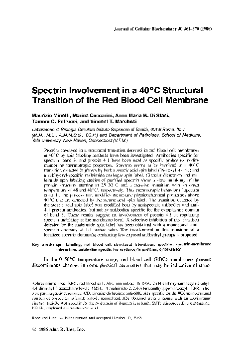 (PDF) Spectrin involvement in a 40 C structural transition of the red ...