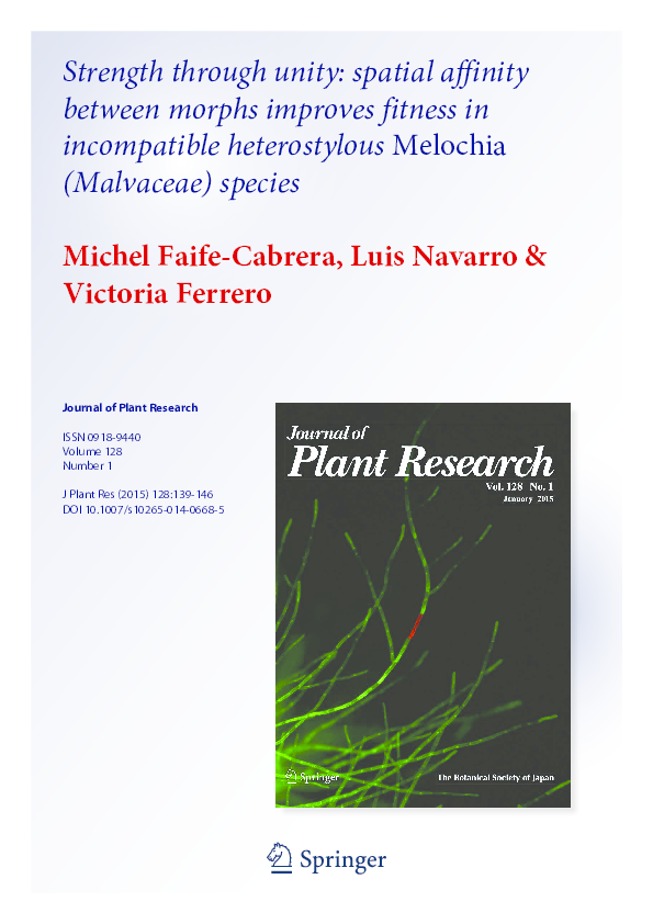 Strength through unity: spatial affinity between morphs improves ...