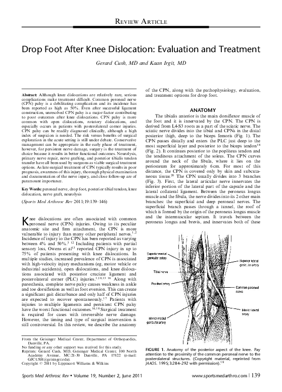 (PDF) Drop foot after knee dislocation | Kaan Irgit - Academia.edu