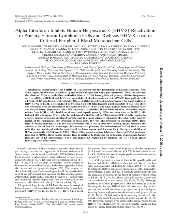 (PDF) Alpha interferon inhibits human herpesvirus 8 (HHV-8) reactivation in primary effusion ...