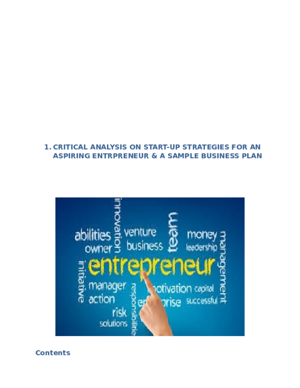 Doc Critical Analysis On Start Up Strategies For An Aspiring