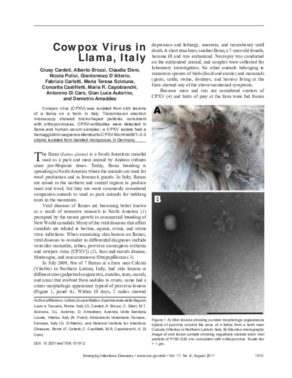 (PDF) Cowpox Virus in Llama, Italy