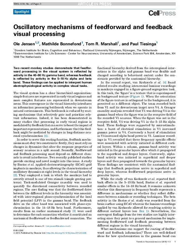 (PDF) Oscillatory mechanisms of feedforward and feedback visual processing
