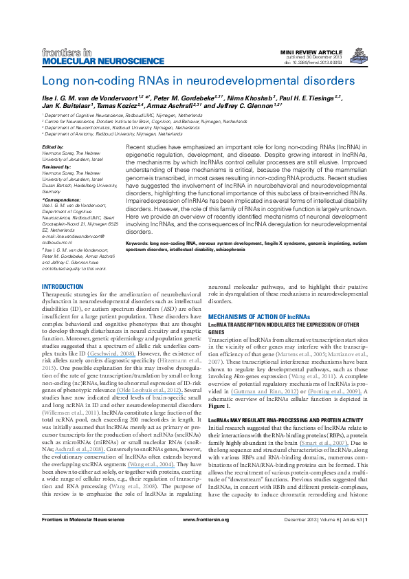 (PDF) Long non-coding RNAs in neurodevelopmental disorders