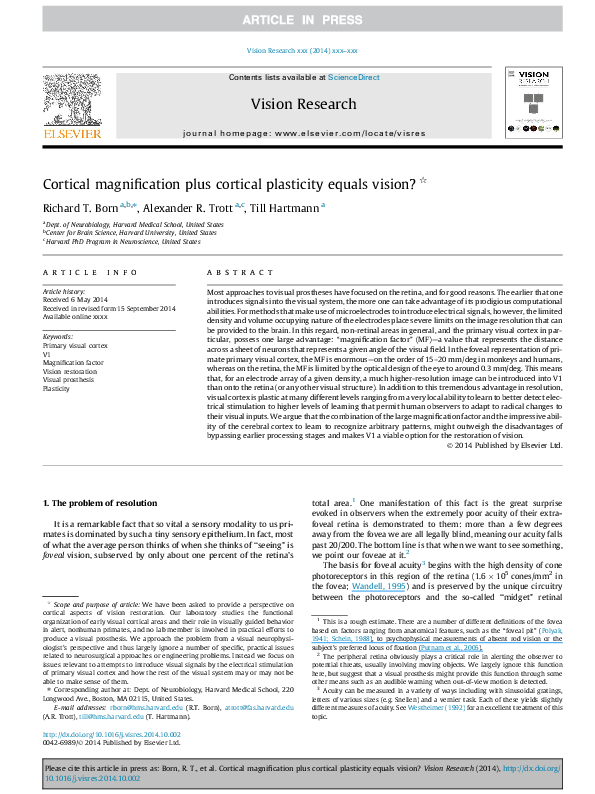 (PDF) Cortical magnification plus cortical plasticity equals vision?