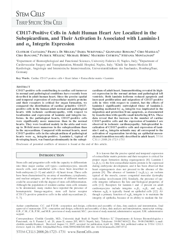 (PDF) CD117-Positive Cells in Adult Human Heart Are Localized in the ...