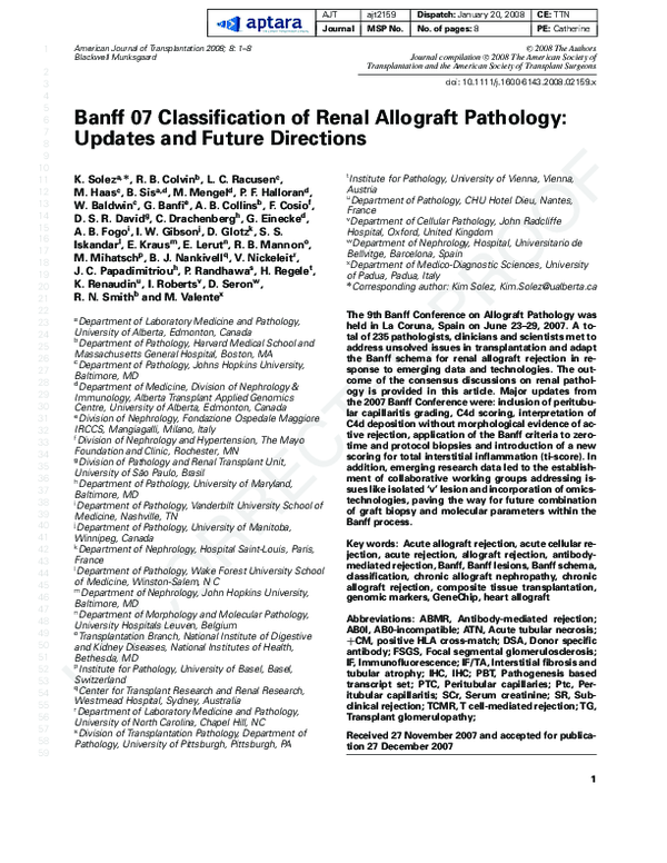 (PDF) Banff 07 Classification of Renal Allograft Pathology: Updates and ...