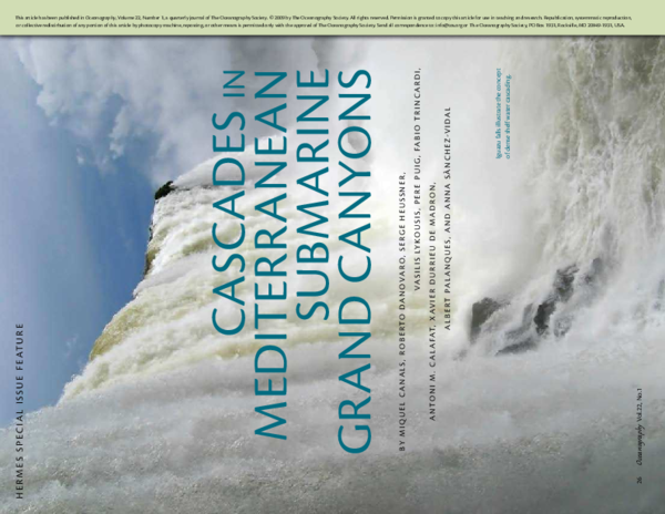 (PDF) Cascades in Mediterranean Submarine Grand Canyons
