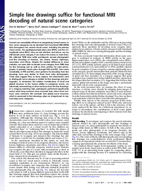 (PDF) Simple line drawings suffice for functional MRI decoding of ...