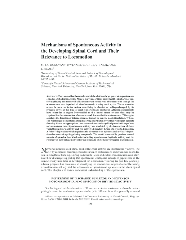 (PDF) Mechanisms of Spontaneous Activity in the Developing Spinal Cord ...