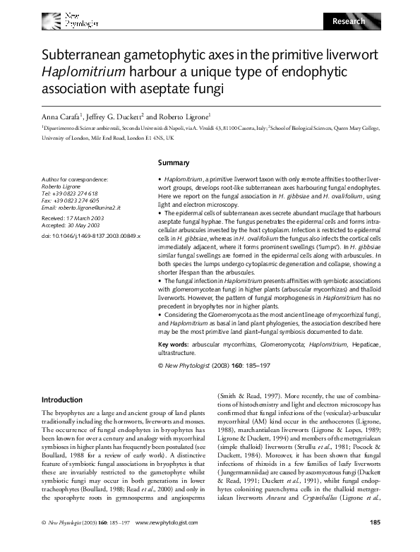 (PDF) Subterranean gametophytic axes in the primitive liverwort ...