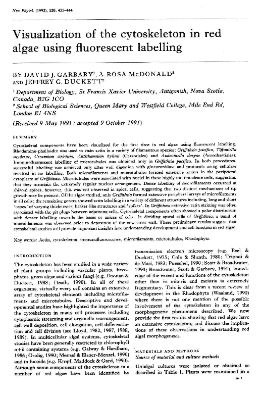 (PDF) Visualization of the cytoskeleton in red algae using fluorescent ...