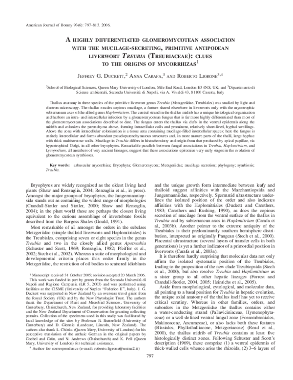 (PDF) A highly differentiated glomeromycotean association with the ...