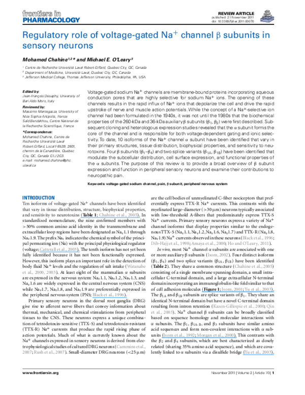 (PDF) Regulatory role of voltage-gated Na+ channel β subunits in ...