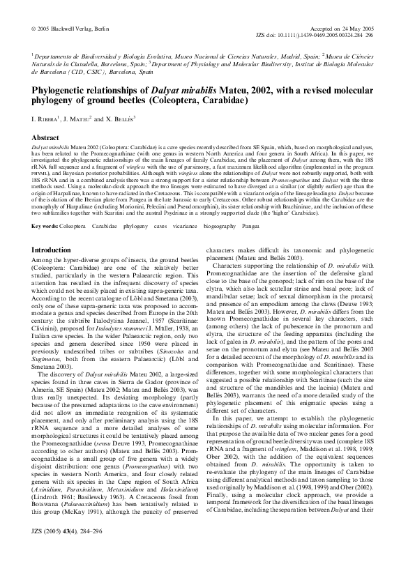 (PDF) The evolution of arboreal carabid beetles | Karen Ober - Academia.edu