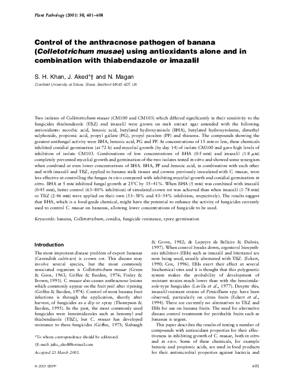 (PDF) Control of the anthracnose pathogen of banana ( Colletotrichum ...