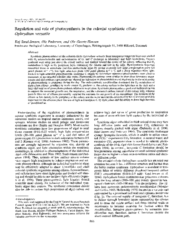 (PDF) Regulation and role of photosynthesis in the colonial symbiotic ...
