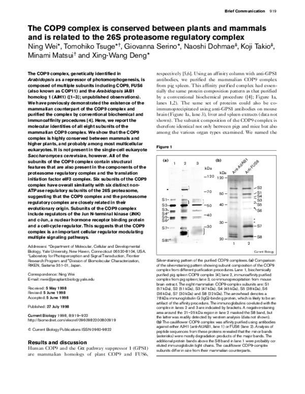 (PDF) The COP9 complex is conserved between plants and mammals and is ...