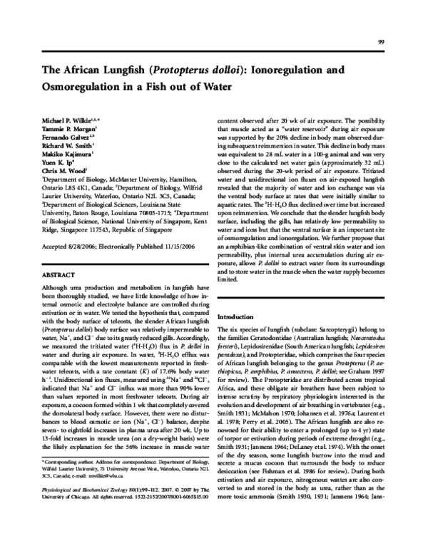 (PDF) The African Lungfish ( Protopterus dolloi ): Ionoregulation and ...