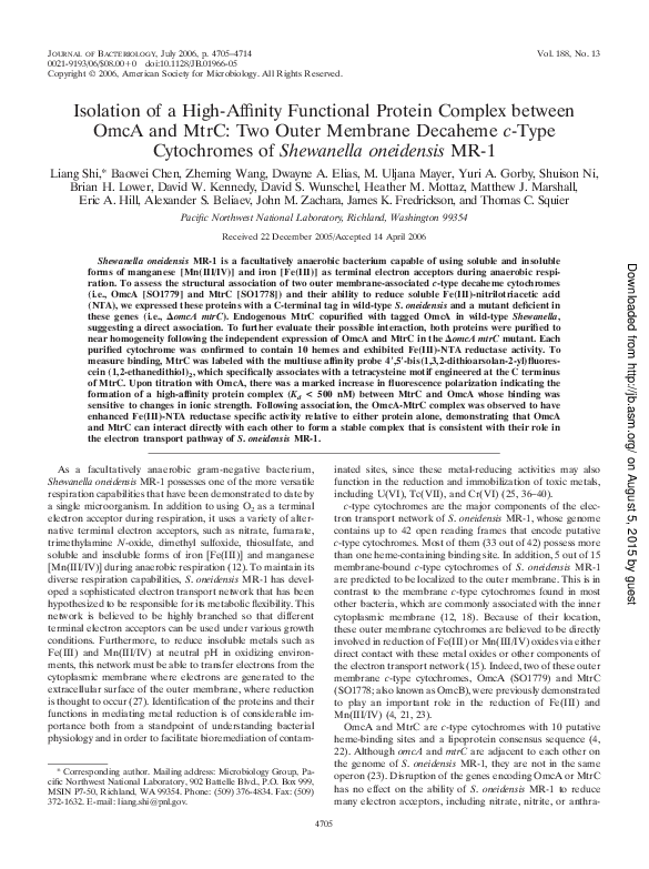 (PDF) Isolation of a High-Affinity Functional Protein Complex between ...