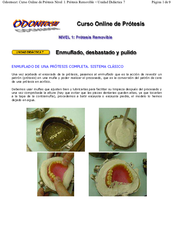 (PDF) ENMUFLADO DE UNA PRÓTESIS COMPLETA. SISTEMA CLÁSICO