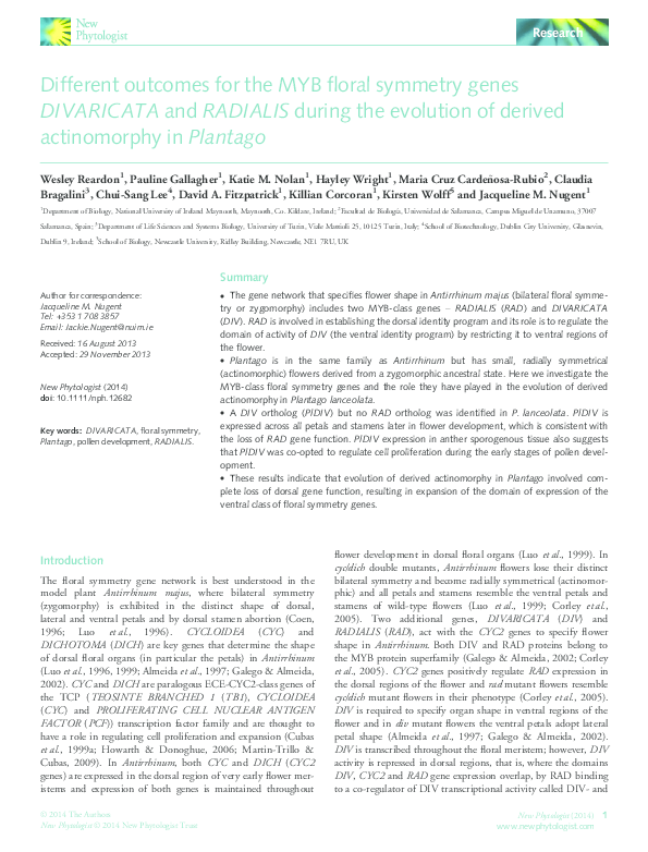 (PDF) Different outcomes for the MYB floral symmetry genes DIVARICATA ...