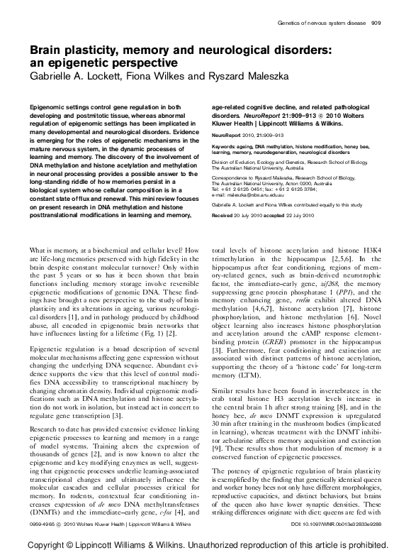 (PDF) Brain plasticity, memory and neurological disorders: an ...